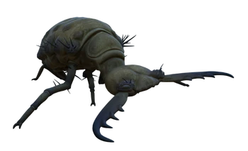 Antlion | Grounded Wiki | Fandom