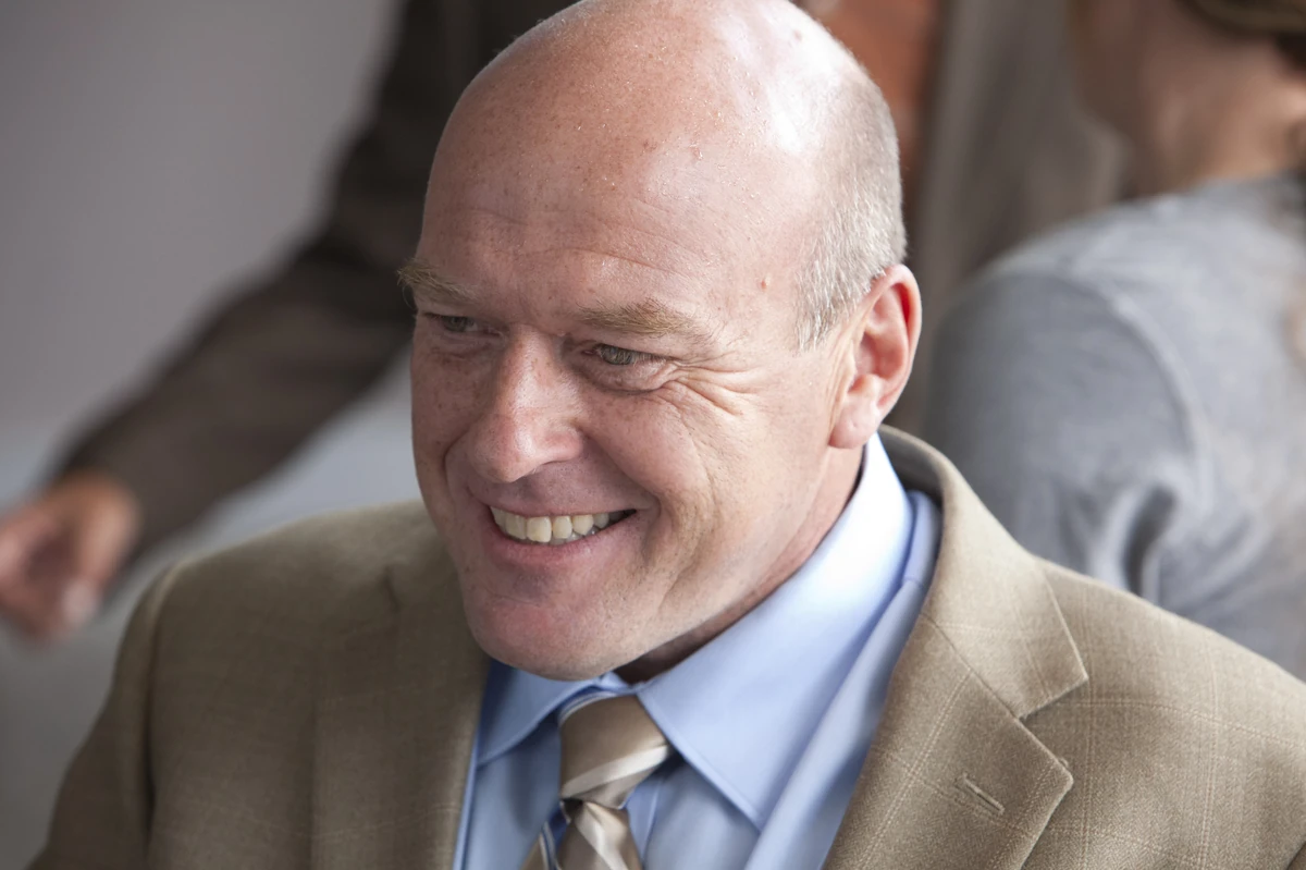 Hank Schrader | Groupy McGroupface Wiki | Fandom