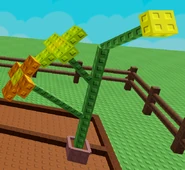 Friendship Pot | Grow a Garden Wiki | Fandom