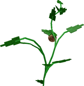 Cocovine | Grow a Garden Wiki | Fandom
