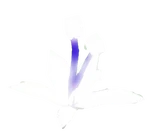 Lotus | Grow a Garden Wiki | Fandom