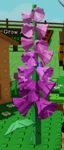 Foxglove | Grow a Garden Wiki | Fandom
