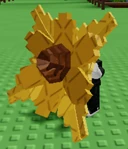 Suncoil | Grow a Garden Wiki | Fandom