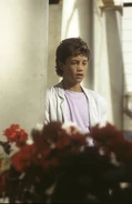 Mike Seaver | Growing Pains Wiki | Fandom