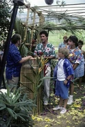 Aloha: Part 2 | Growing Pains Wiki | Fandom