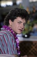 Mike Seaver | Growing Pains Wiki | Fandom