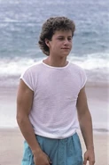 Mike Seaver | Growing Pains Wiki | Fandom