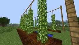 Hop Seeds | Growthcraft Wiki | Fandom