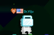 Diamond Lock Mask | Growtopia Wiki | Fandom