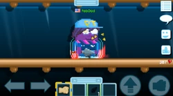 how to make exquisite in growtopia