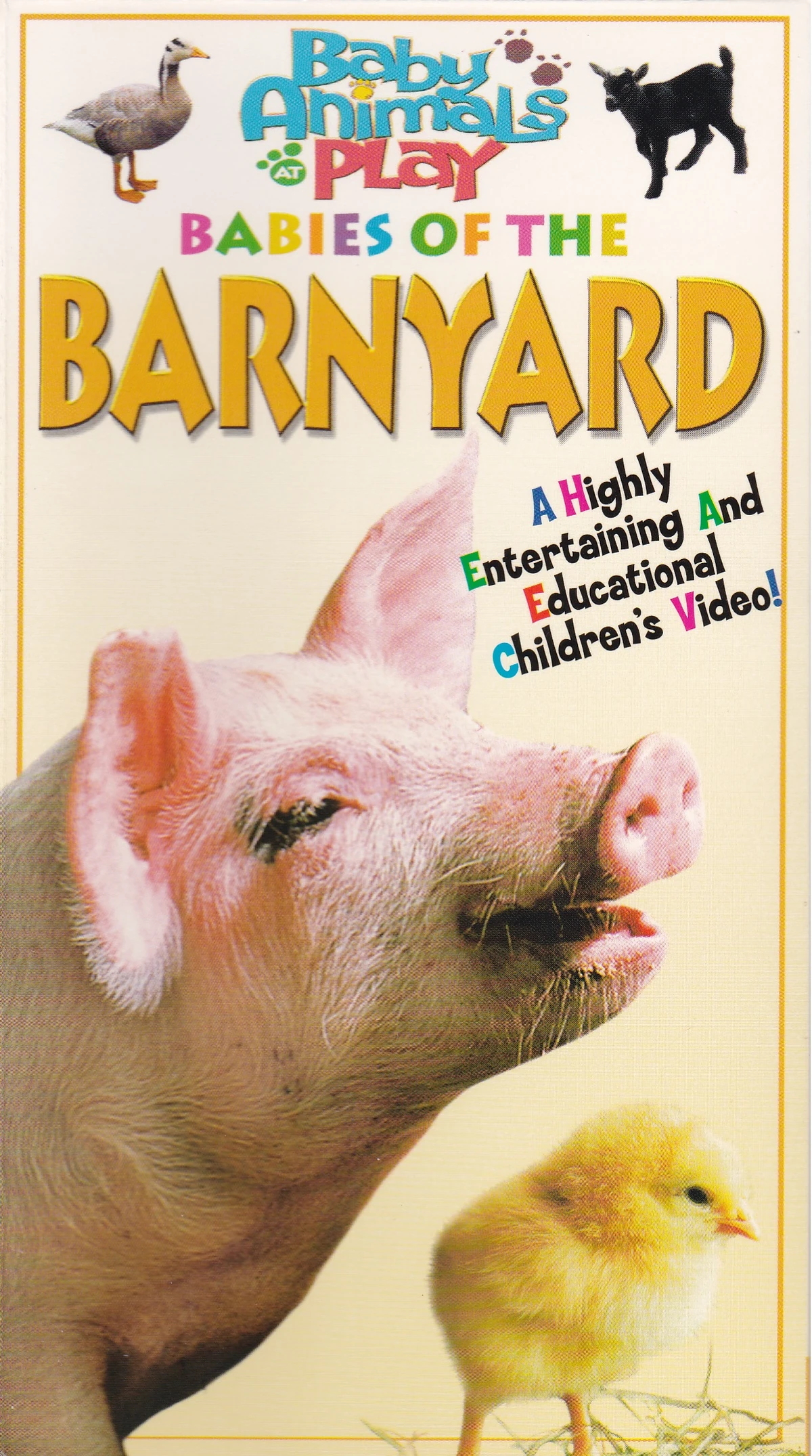 Barnyard Babies | Grunko Films Wiki | Fandom