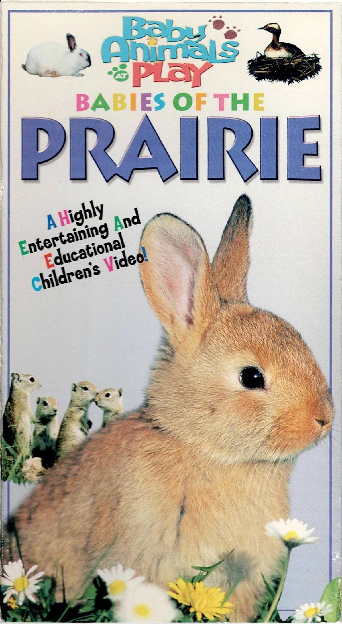 Prairie Babies | Grunko Films Wiki | Fandom