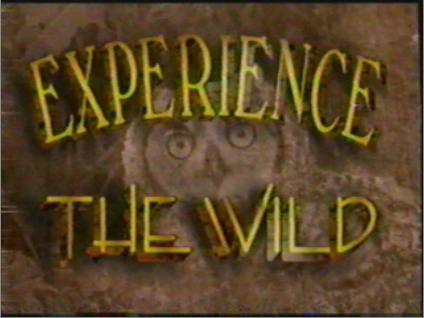 Experience the Wild (TV series) | Grunko Films Wiki | Fandom