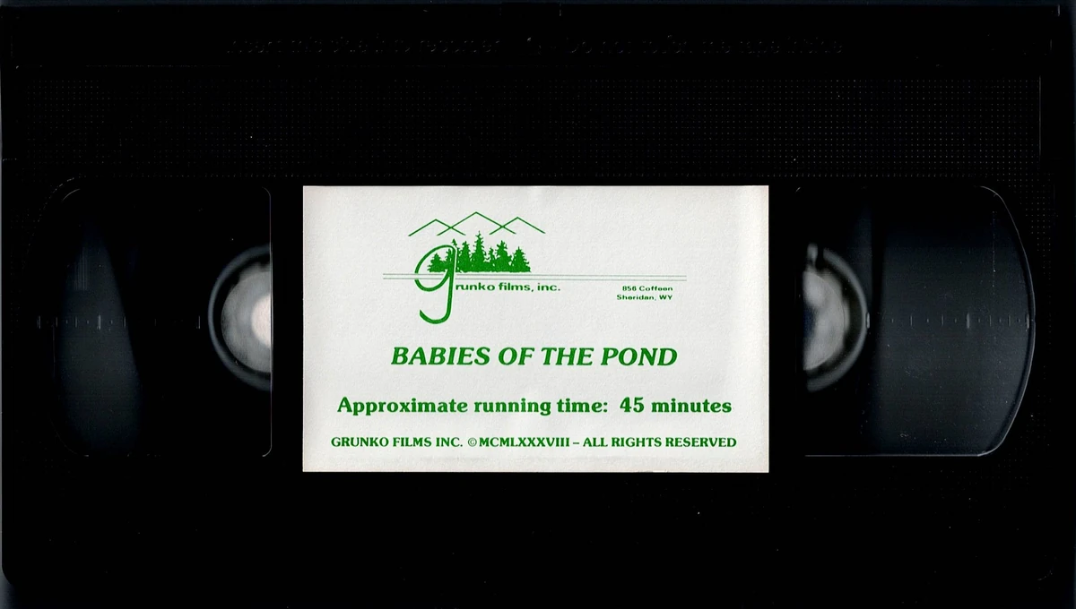 Babies of the Pond | Grunko Films Wiki | Fandom