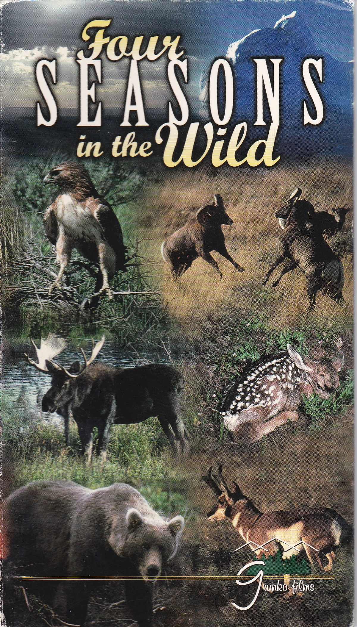 Four Seasons in the Wild | Grunko Films Wiki | Fandom