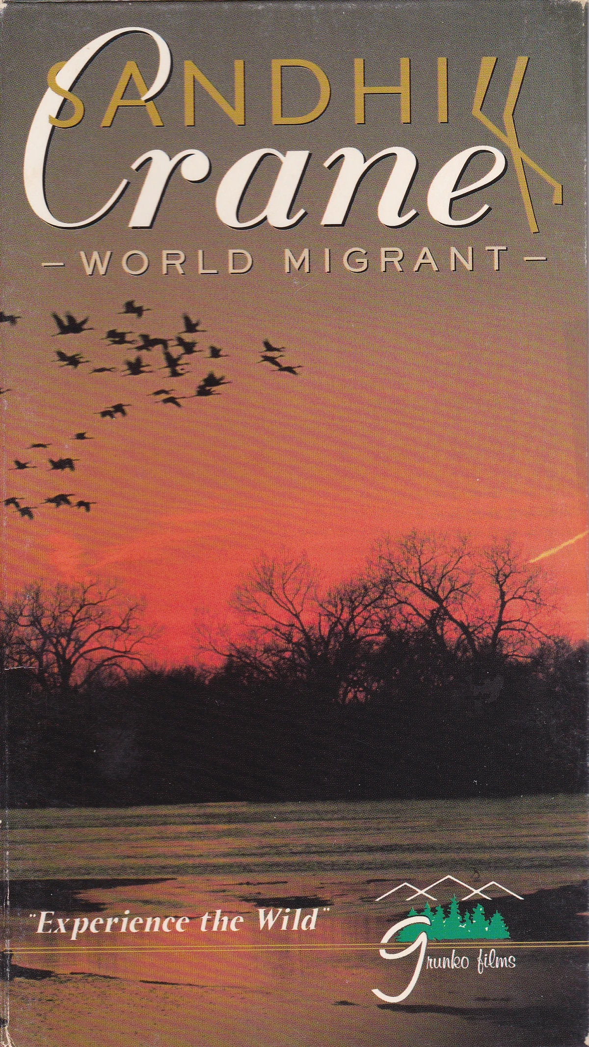Sandhill Crane: World Migrant | Grunko Films Wiki | Fandom