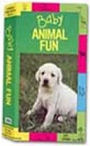 Grunko Films Wiki | Fandom