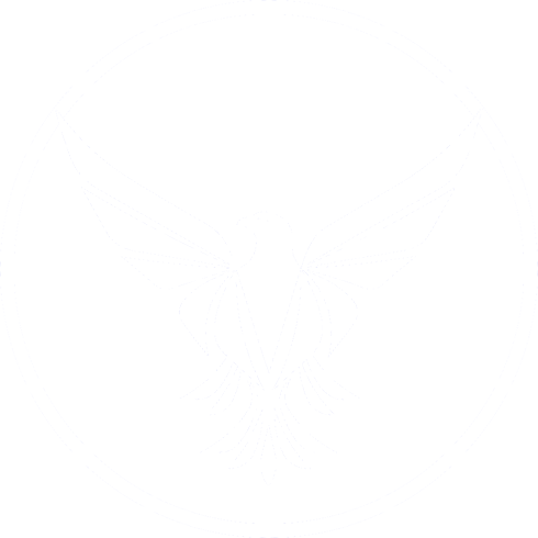 SSTO Mk2 Whitebird | Grupo Falcons Wiki | Fandom