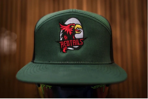 Athens Redtails | Gryphonopedia, The Gryphon Generation Wiki | Fandom