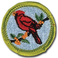 For the Birds Badge | Girl Scouts Council's Own Awards Wikia | Fandom