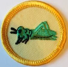 Incredible Insects Badge | Girl Scouts Council's Own Awards Wikia | Fandom