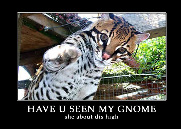 GS Cats | GSGuide Wiki | Fandom