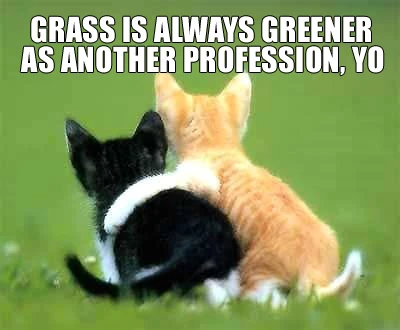 GS Cats | GSGuide Wiki | Fandom