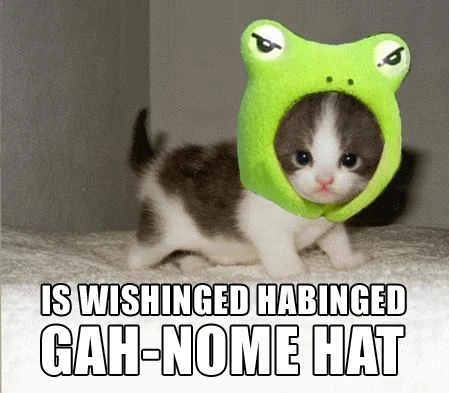 GS Cats | GSGuide Wiki | Fandom