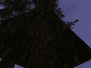Glitched Tree | GTA Myths Wiki | Fandom