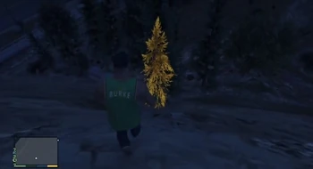 Golden Tree | GTA Myths Wiki | Fandom
