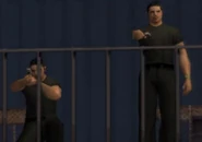 Семья Синдакко | Grand Theft Wiki | Fandom