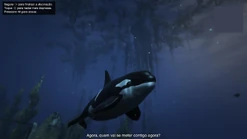 Orcas | Grand Theft Auto Wiki | Fandom