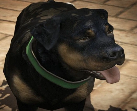 Chop | Grand Theft Auto Wiki (GTA Wiki) | Fandom