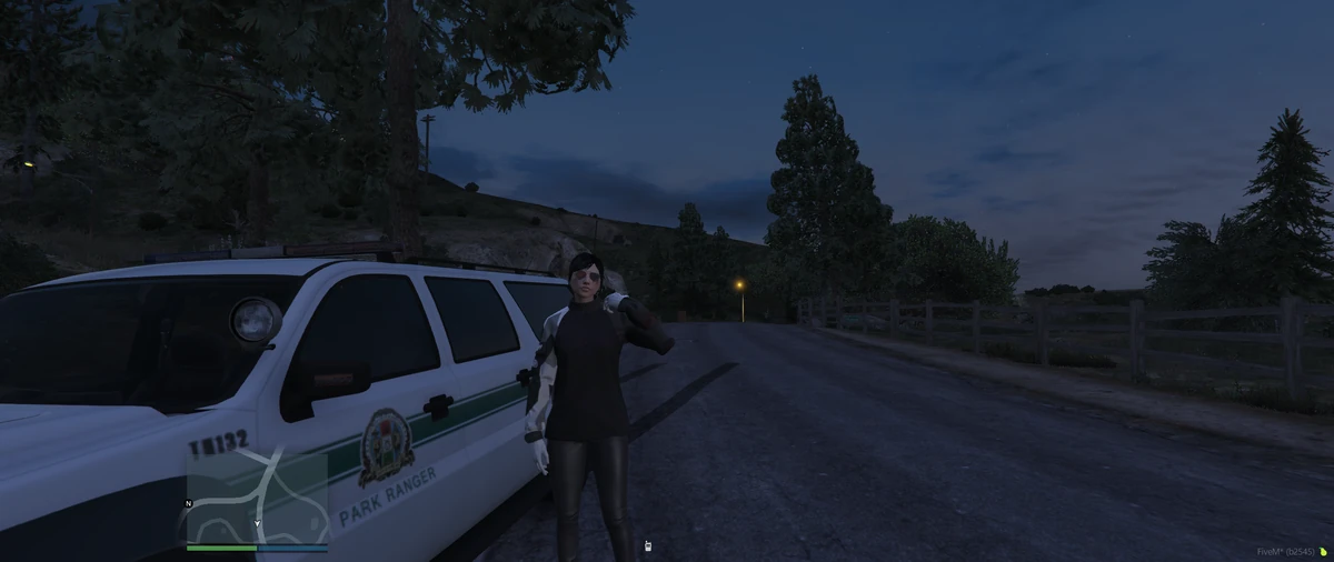 Newbie Guide - Voice Chat | GTA Cops and Robbers Wiki | Fandom