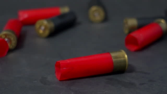 Shotgun Shells | GTA Cops and Robbers Wiki | Fandom