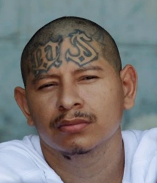 El Monstroso | Grand Theft Auto Fanon Wiki | Fandom