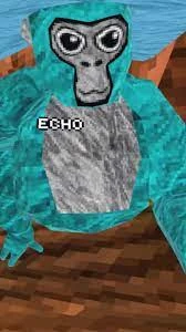 Echo | Gtag ghosts repository Wiki | Fandom