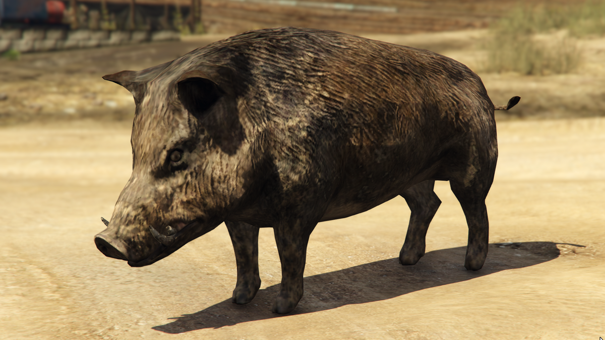 Boars | GTA Wiki | Fandom