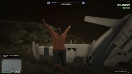 Random Event: Smuggler Plane | GTA Wiki | Fandom