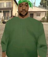 Grove Street Families | GTA Wiki | Fandom