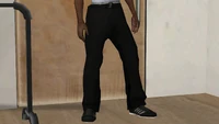 Clothing in GTA San Andreas/ZIP | GTA Wiki | Fandom