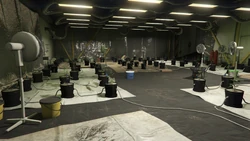 Weed Farm | GTA Wiki | Fandom