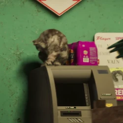 Cats | GTA Wiki | Fandom