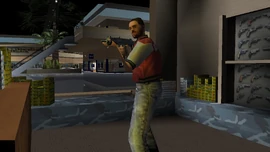 Sam | GTA Wiki | Fandom