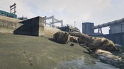 Shipwrecks | GTA Wiki | Fandom