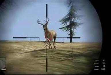 Gta 5 Hunting