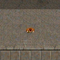 Bongo | GTA Wiki | Fandom