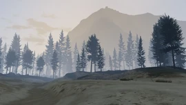 Paleto Forest | GTA Wiki | Fandom