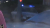 Vice-Dale Police Department | GTA Wiki | Fandom