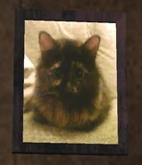 Cats | GTA Wiki | Fandom